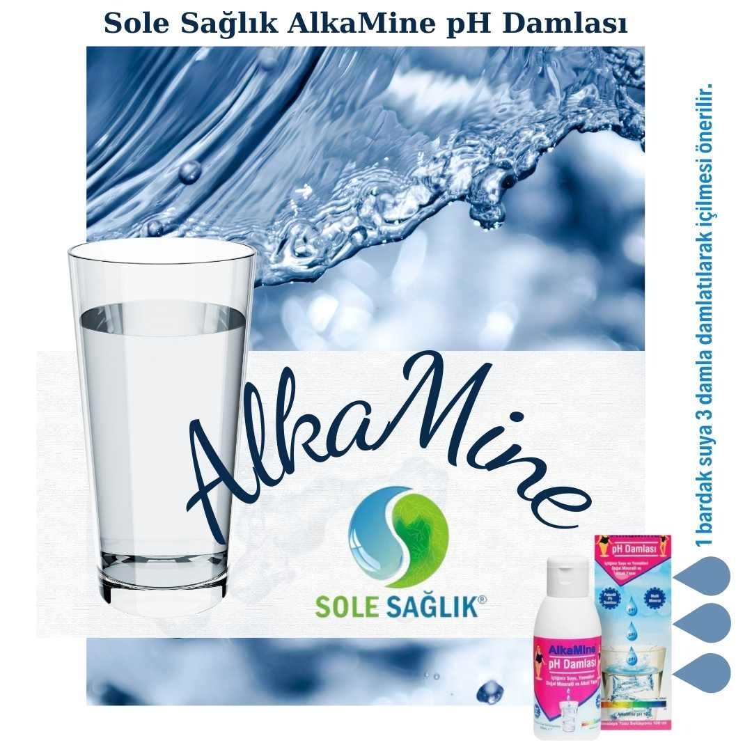 Mini Su Canlandırma Tablası Seti: Alkali Suya Kolayca Ulaşın - Toptan ...